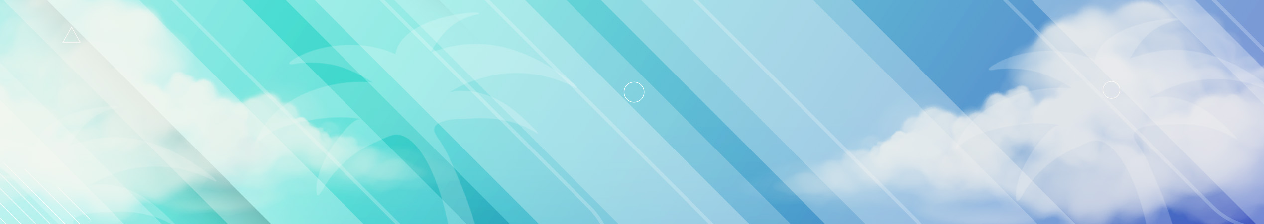 Professional Dedicated Server, Root Server and VPS Hosting for rent ...